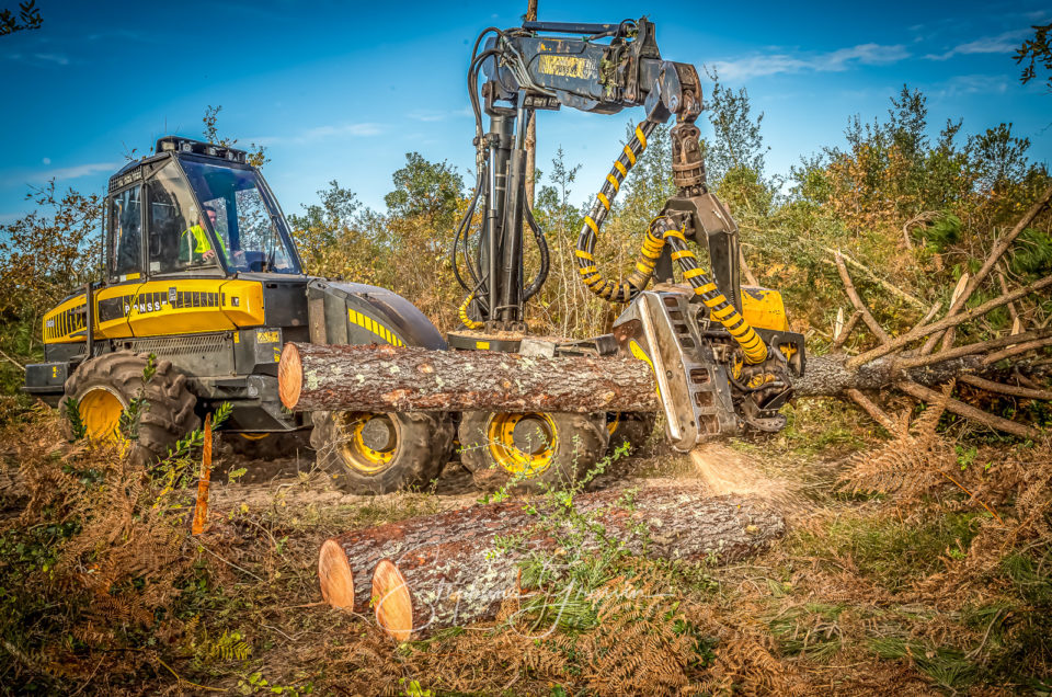 Reportage photo sur de l’exploitation forestière - Photographies de l ...